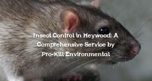 Insect Control in Heywood: A Comprehensive Service by Pro-Kill ...